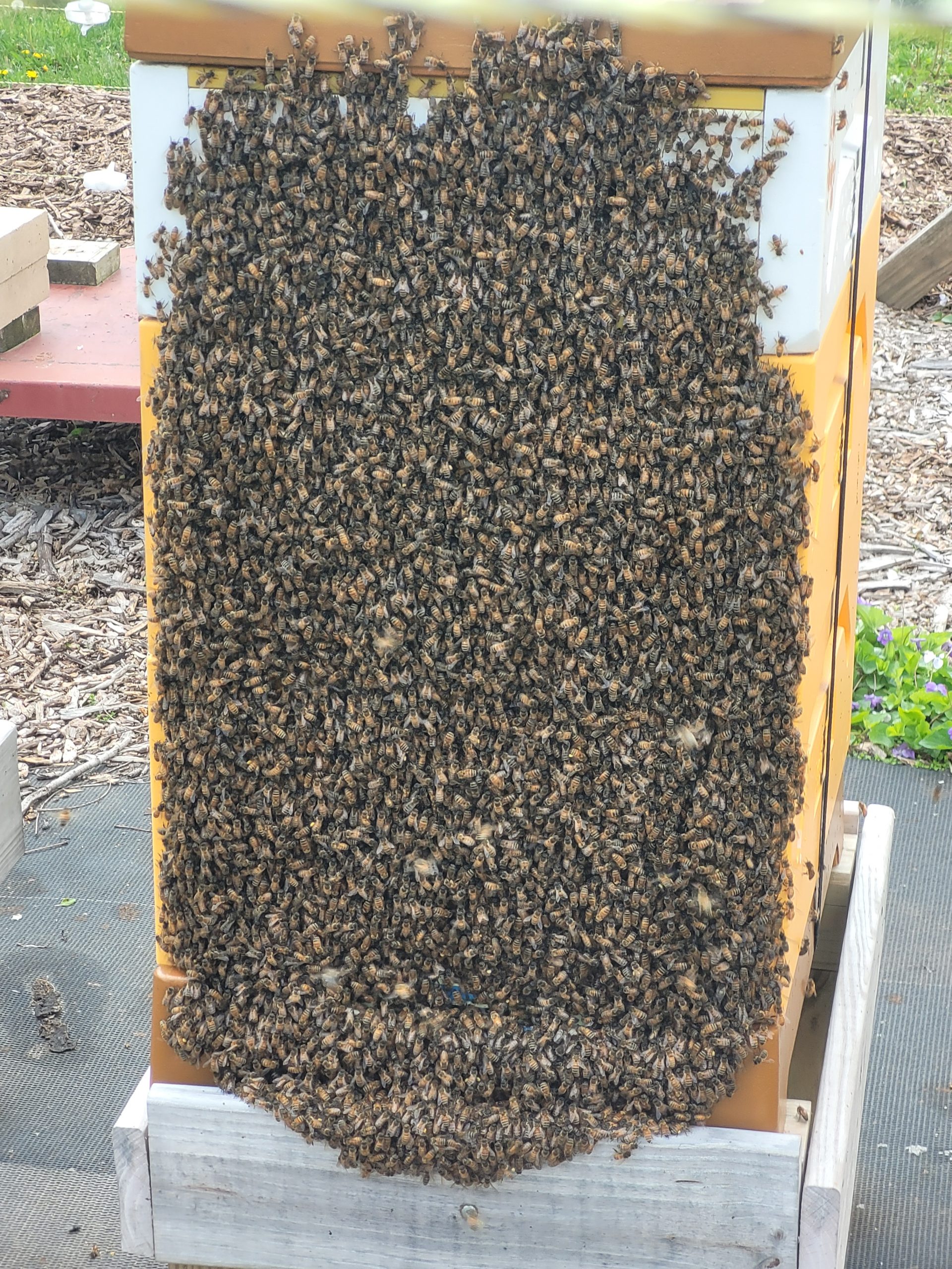 Our Weather Right Now - NJ 519 Honey - Milford, NJ 08848